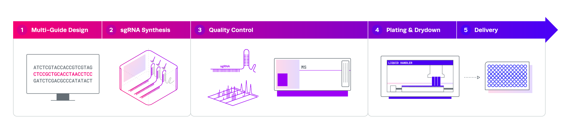 Arrayed CRISPR gRNA Libraries | EditCo